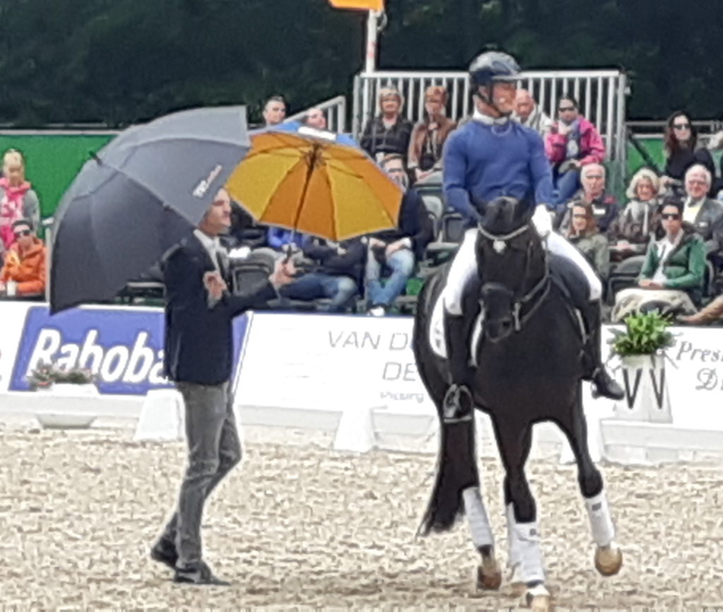 Ruiter en paard in de optimale spanning - Flow Mentale Training